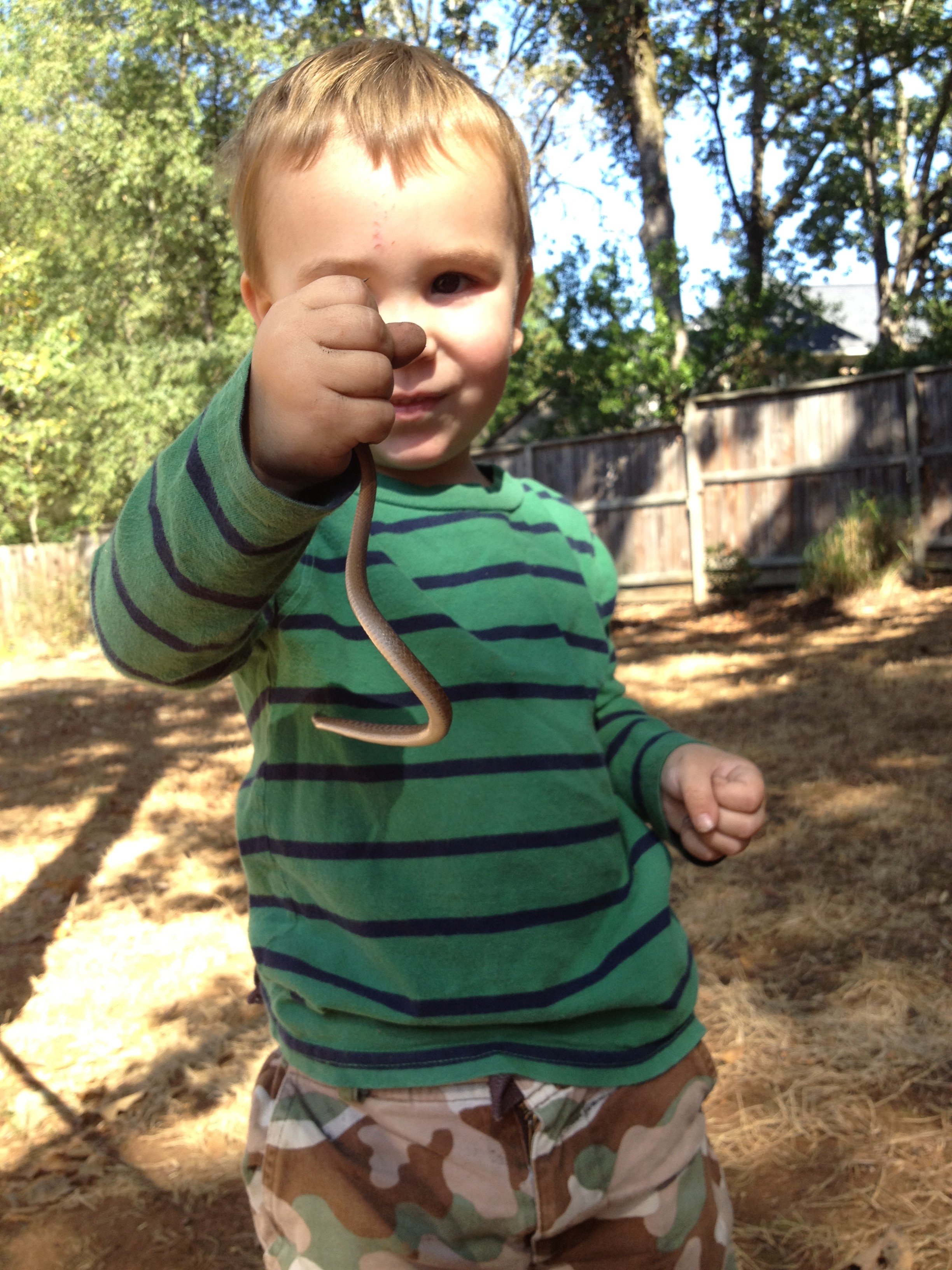 Safety with Snakes and Curious Toddlers | Cragmama