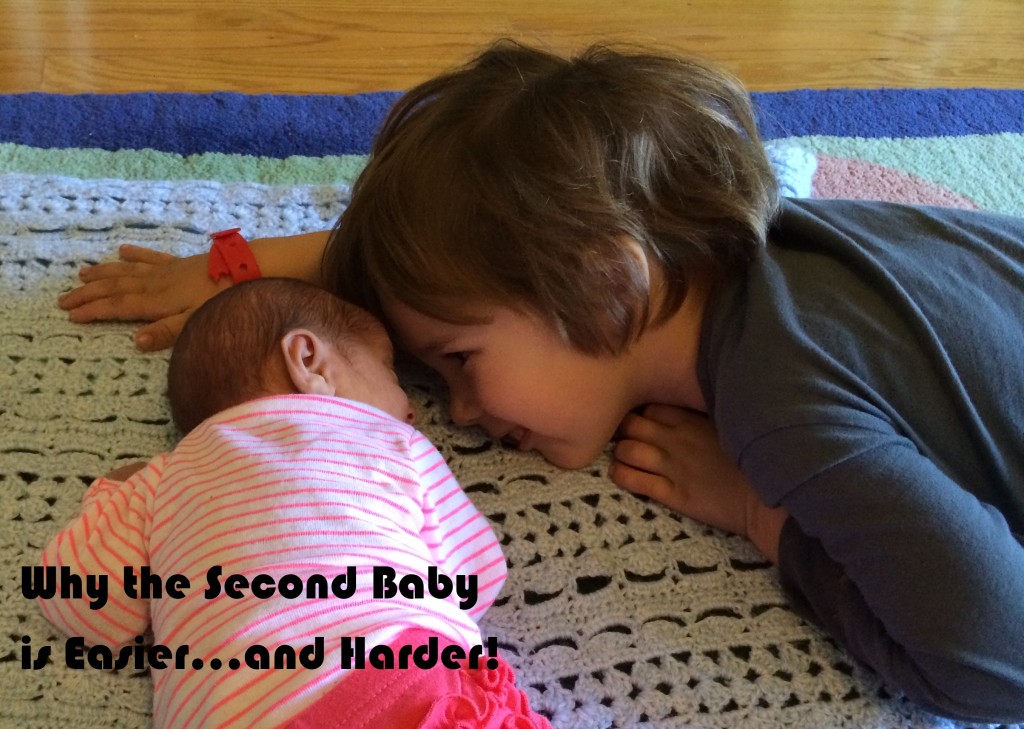 Why the Second Baby is Easier…and Harder | Cragmama