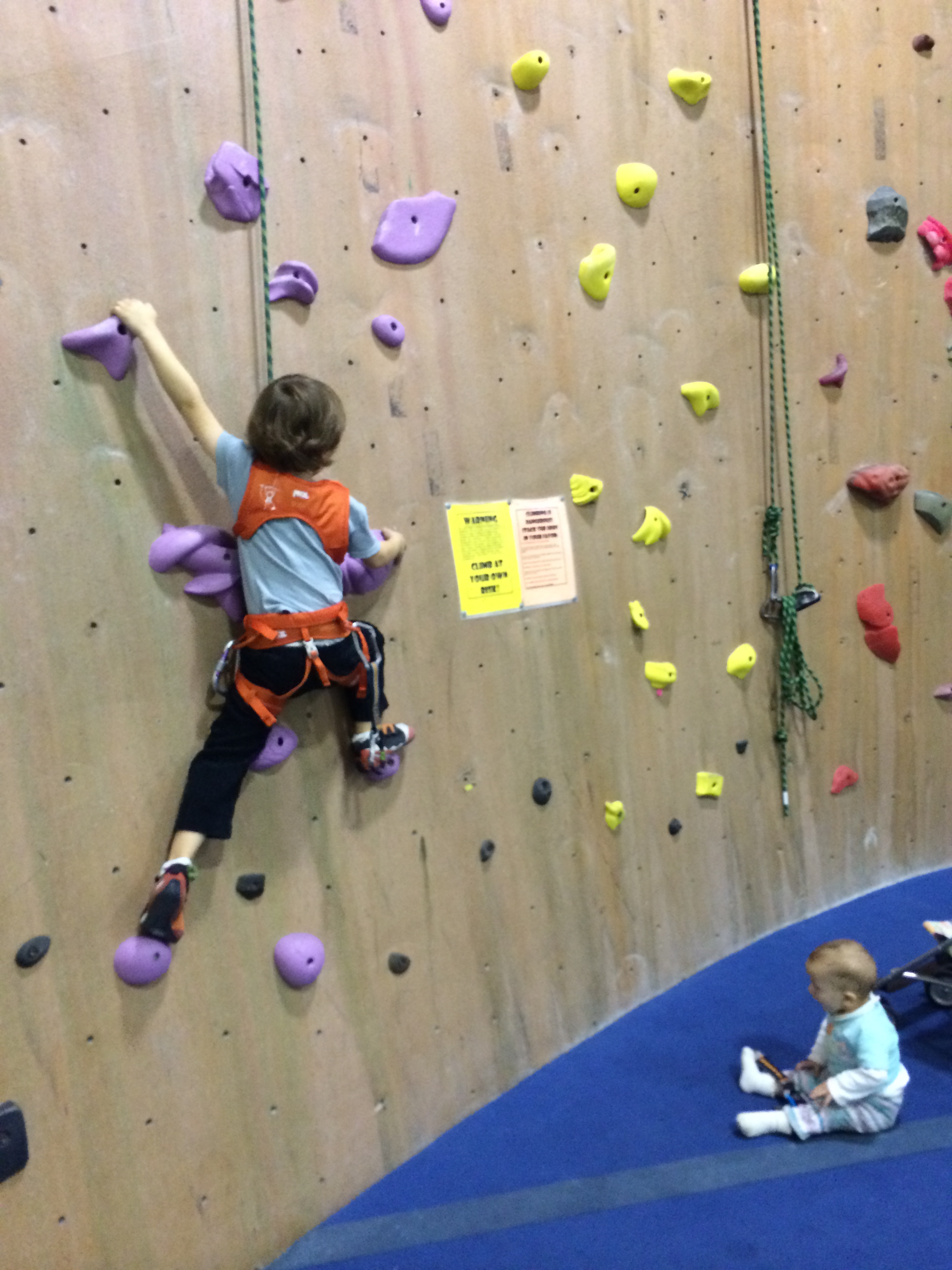 Children's Climbing Gear PETZL MACCHU Kids Climbing Harness ...