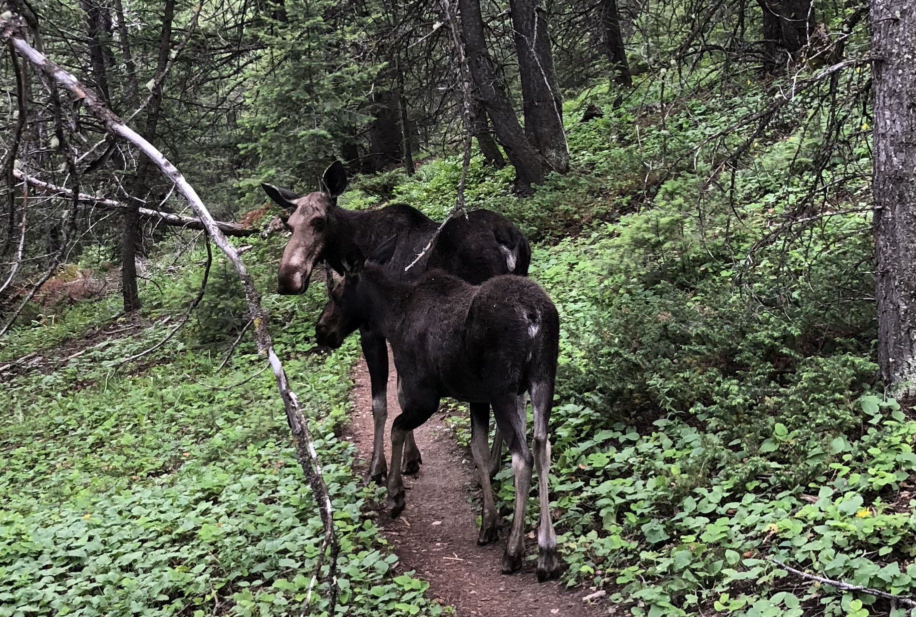 Ten Sleep Canyon, Part 1 – French Cattle Ranch and Valhalla | Cragmama